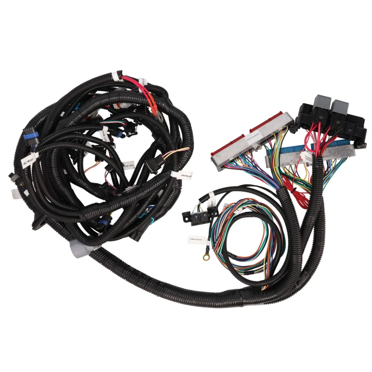 Ls Motor Wiring Harness